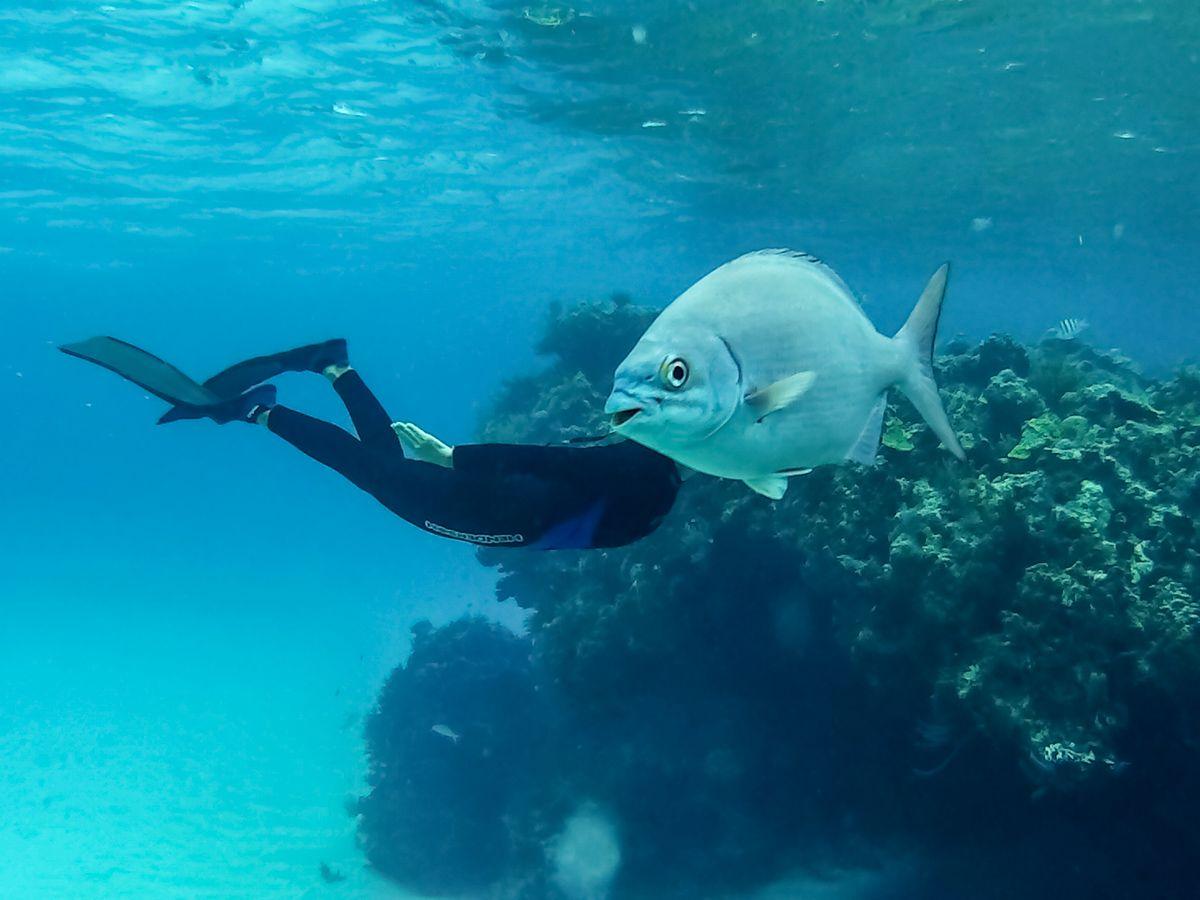 Obtaining a Disabled Veteran Fishing License in the USA - Fishing ...