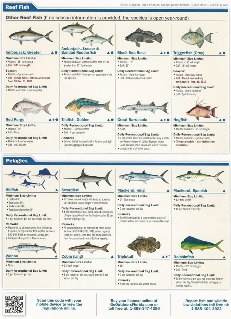 Get Your Canadian Fishing License: Step-by-Step Guide - Fishing Licence USA