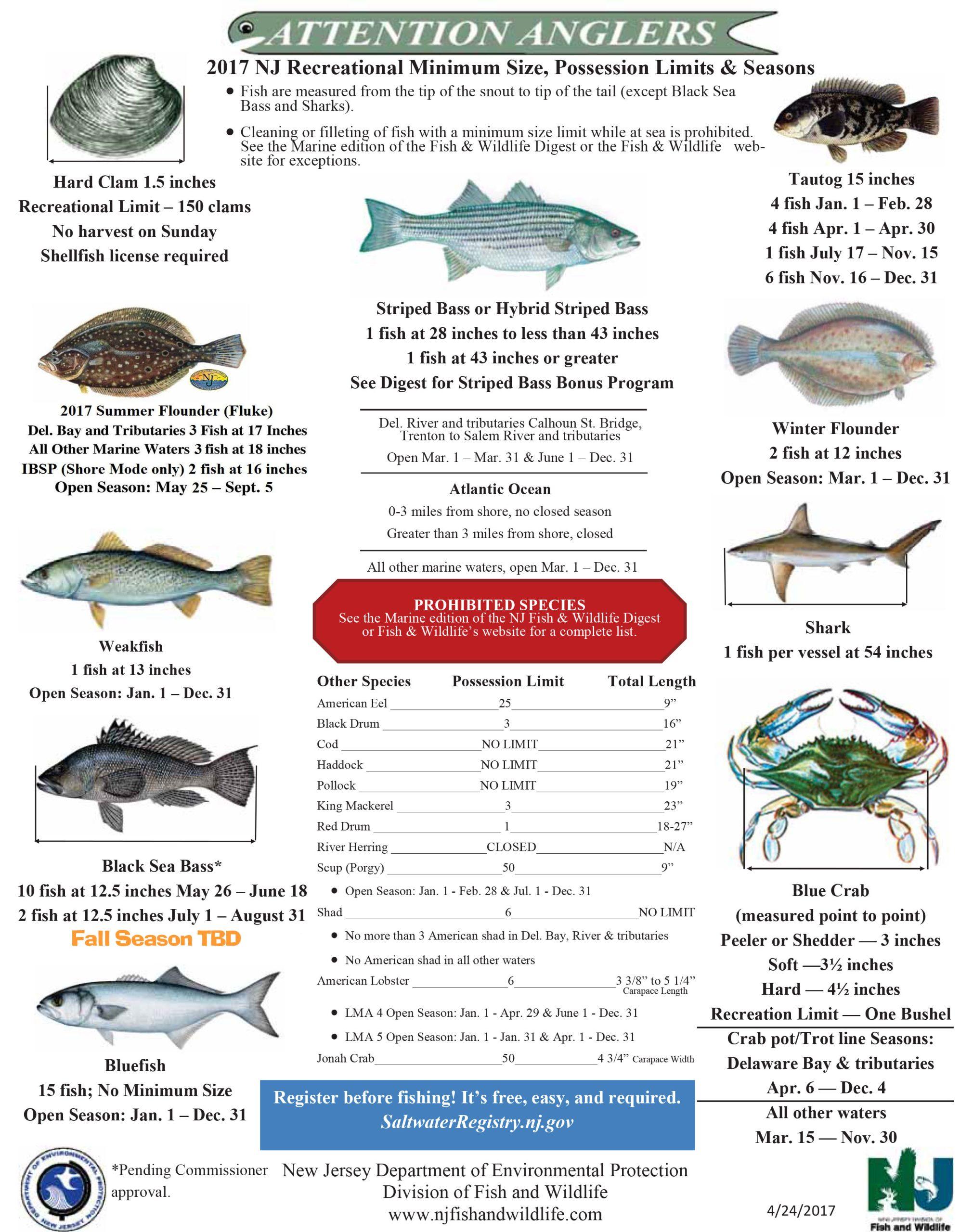 Fishing in State Parks: License Requirements and Regulations - Fishing ...