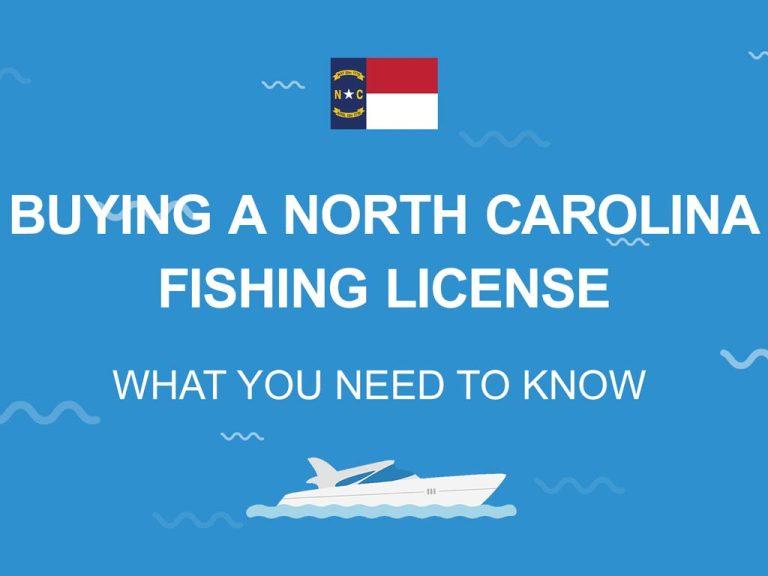 Your Guide to Buying a Lifetime Fishing License: Benefits and Process ...