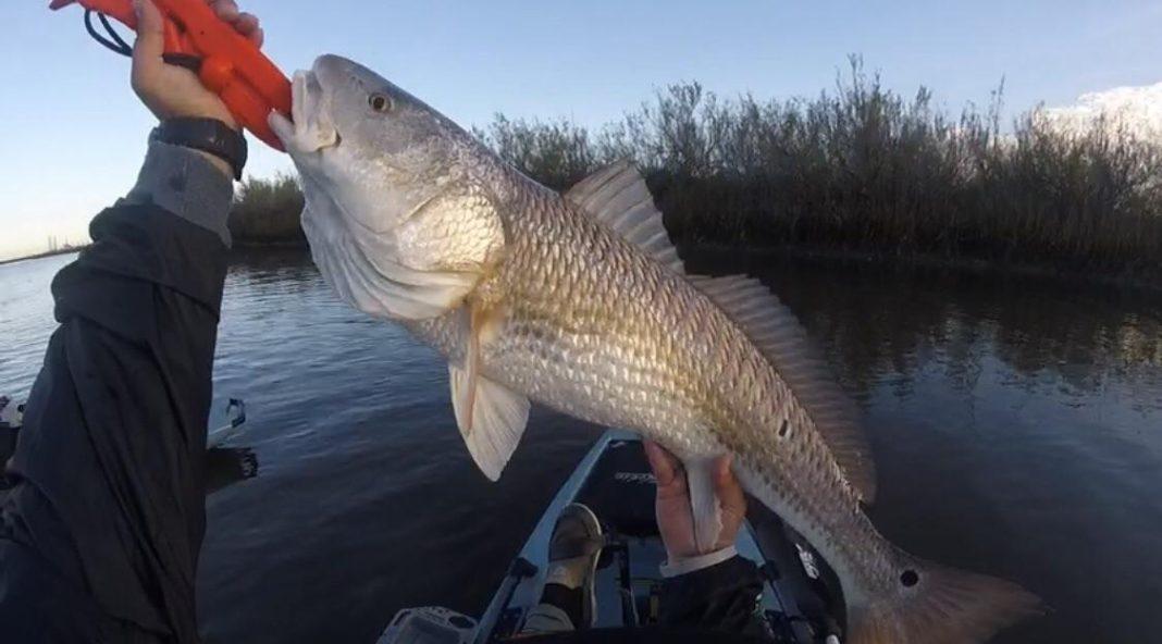 Obtaining a Disabled Veteran Fishing License in the USA - Fishing ...