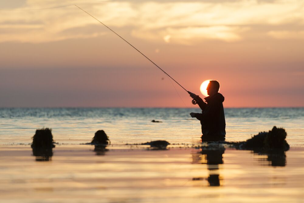Understanding Fishing Licenses: Your Guide to Legal Fishing off Your ...