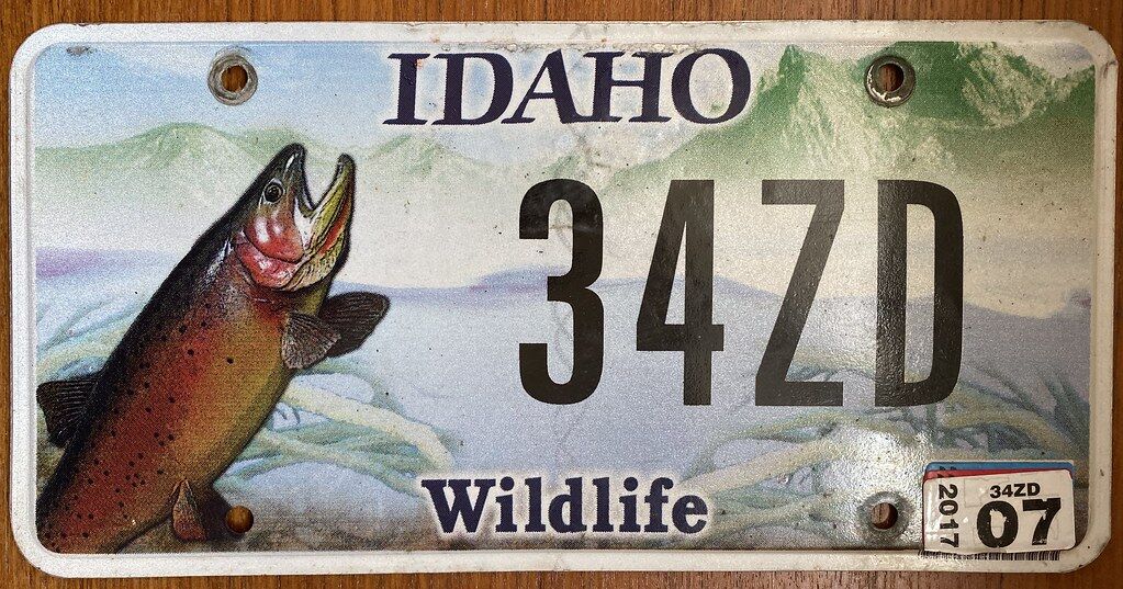 Fishing Licence USA - The Ultimate Guide to Fishing Licenses in the USA