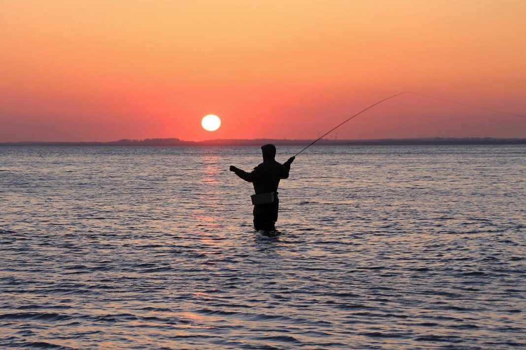 Renew Your CT Fishing License with Ease: A Step-by-Step Guide - Fishing ...