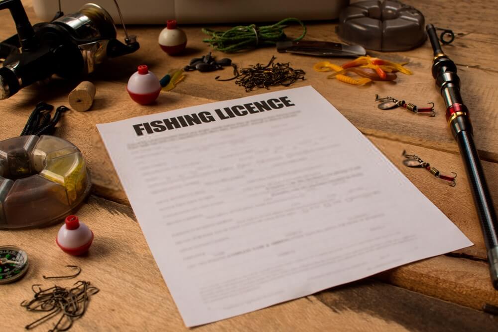 How to Get a New Mexico Fishing License in 2025