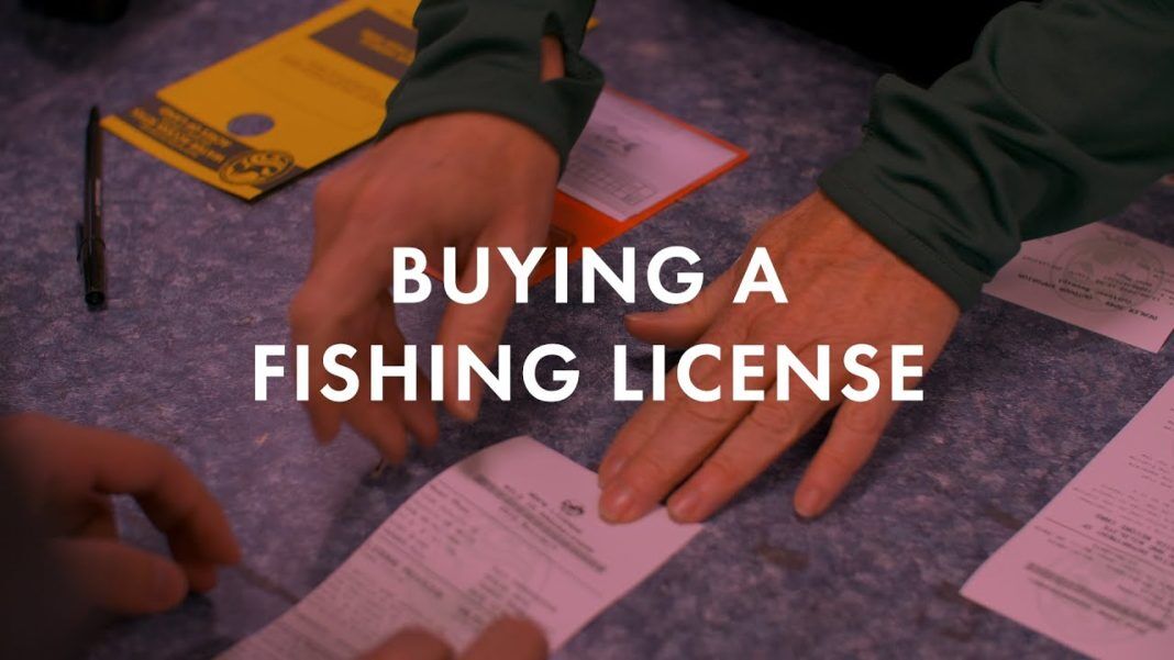 Fishing License in Florida for Seniors 65+: Key Facts & Free Options ...