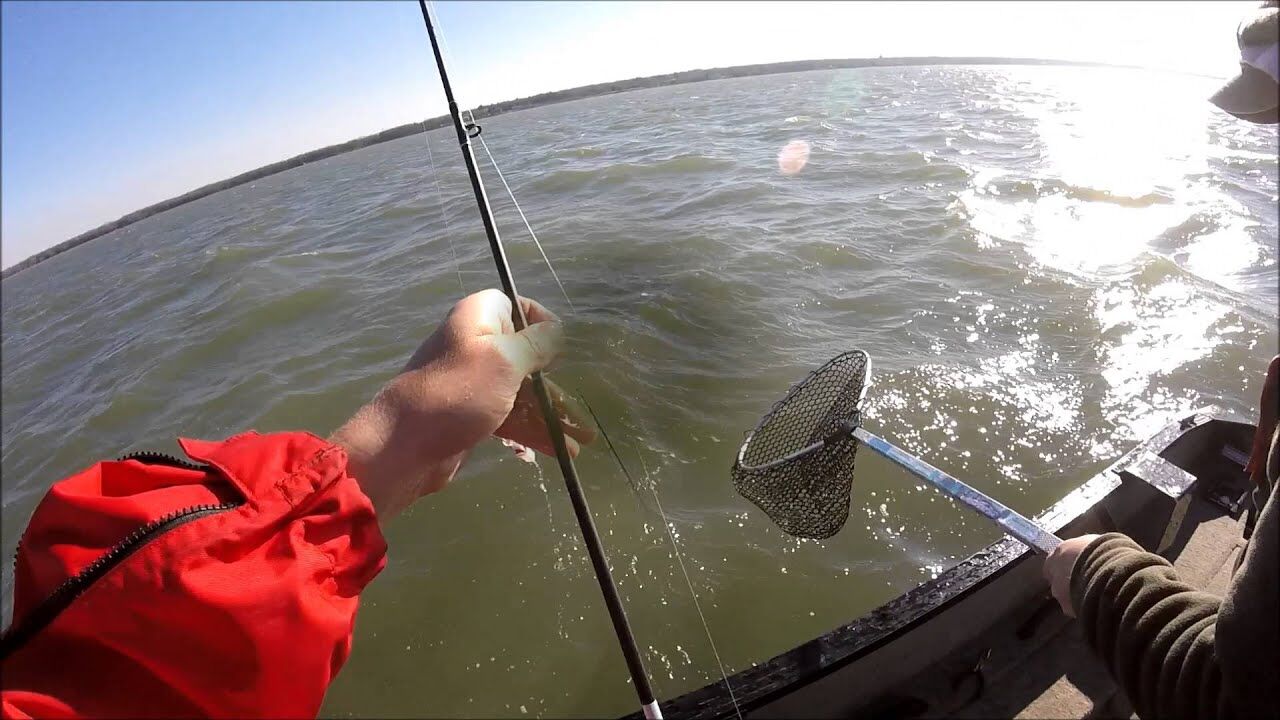 Walmart Fishing License Cost | Your Comprehensive Guide