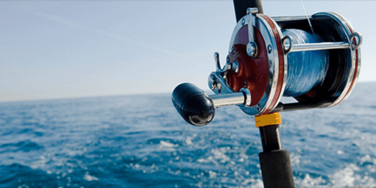 Complete Guide to SCDNR Fishing and Hunting Licenses - Fishing Licence USA