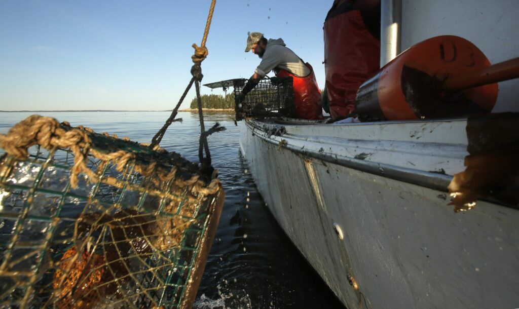 Texas Fishing License: Costs & Easy Buying Guide (2025) - Fishing ...