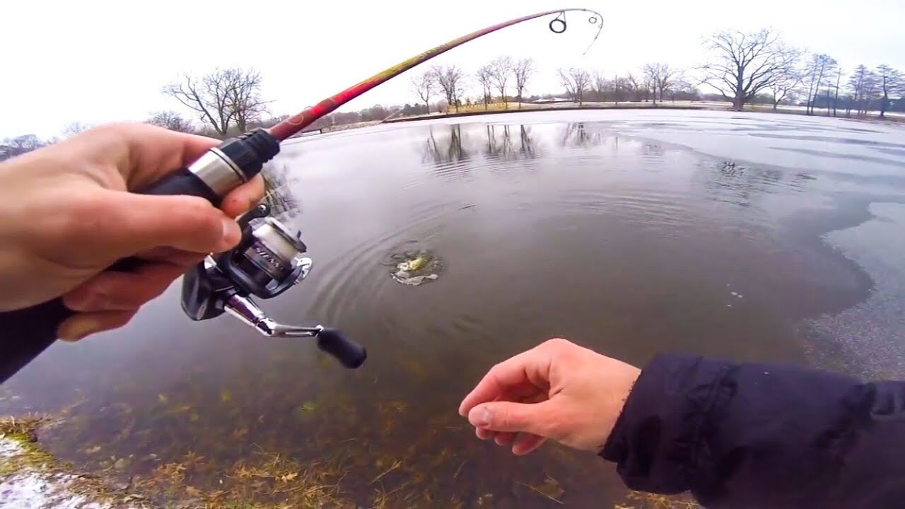 Crater Lake Fishing: The Ultimate Guide (No License Required ...