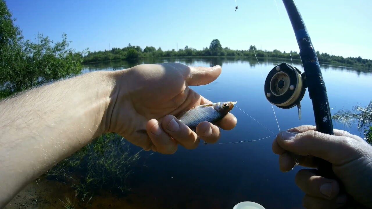 2025 US Resident Fishing Licenses: Types & Costs