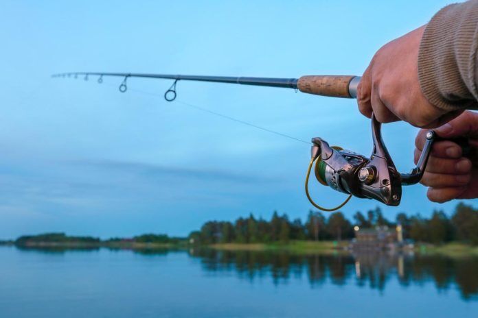 How Much Is a Florida Fishing License? 2025 Prices + Hidden Costs ...