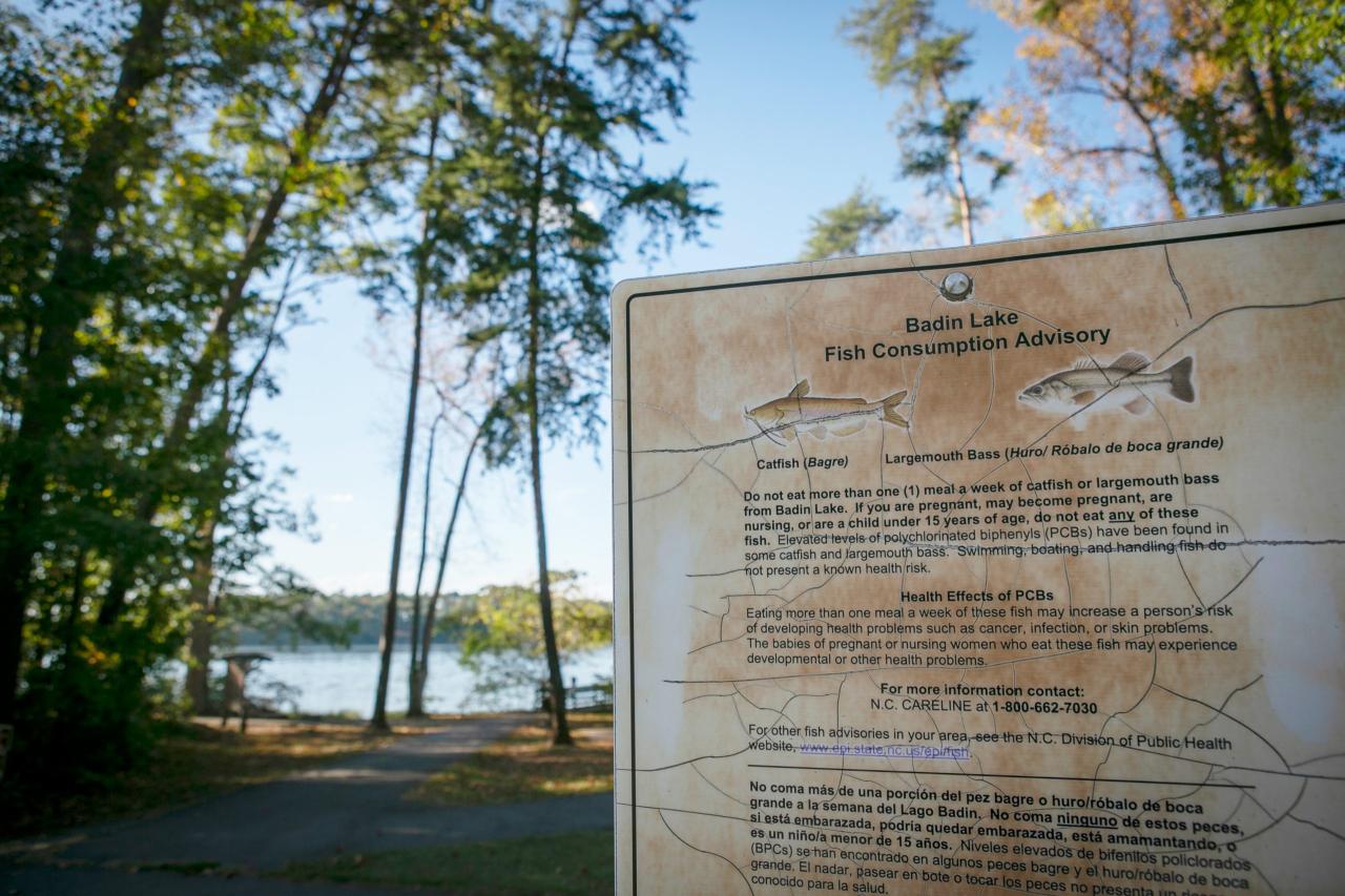 Texas Fishing License for Seniors: 2024 Qualification and Requirements ...