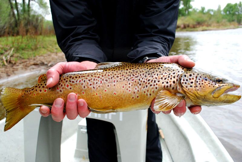 Your Guide to Getting a North Dakota Fishing License: Rules, Costs, and ...