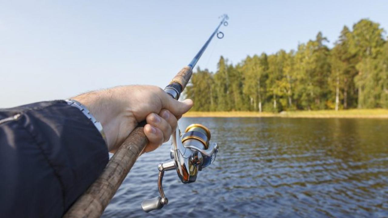 New Mexico Fishing License: Everything You Need to Know - Fishing ...