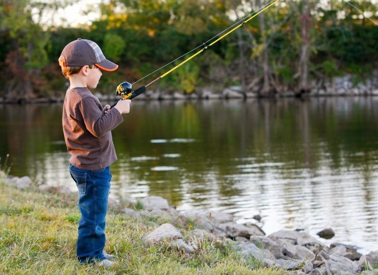 How to Check Your Fishing License Status: A Step-by-Step Guide ...