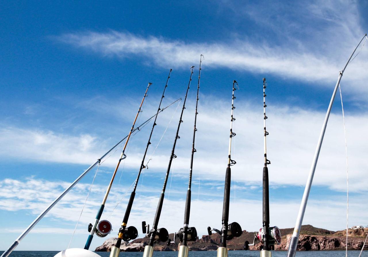 South Carolina Fishing Licenses: Your Complete Guide for 2024 - Fishing ...