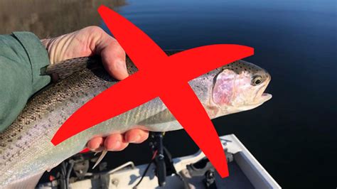 Fishing License Types in USA (2024) - Fishing Licence USA