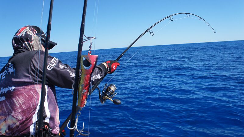Renew Your Fishing License: Cost and Process Explained - Fishing ...