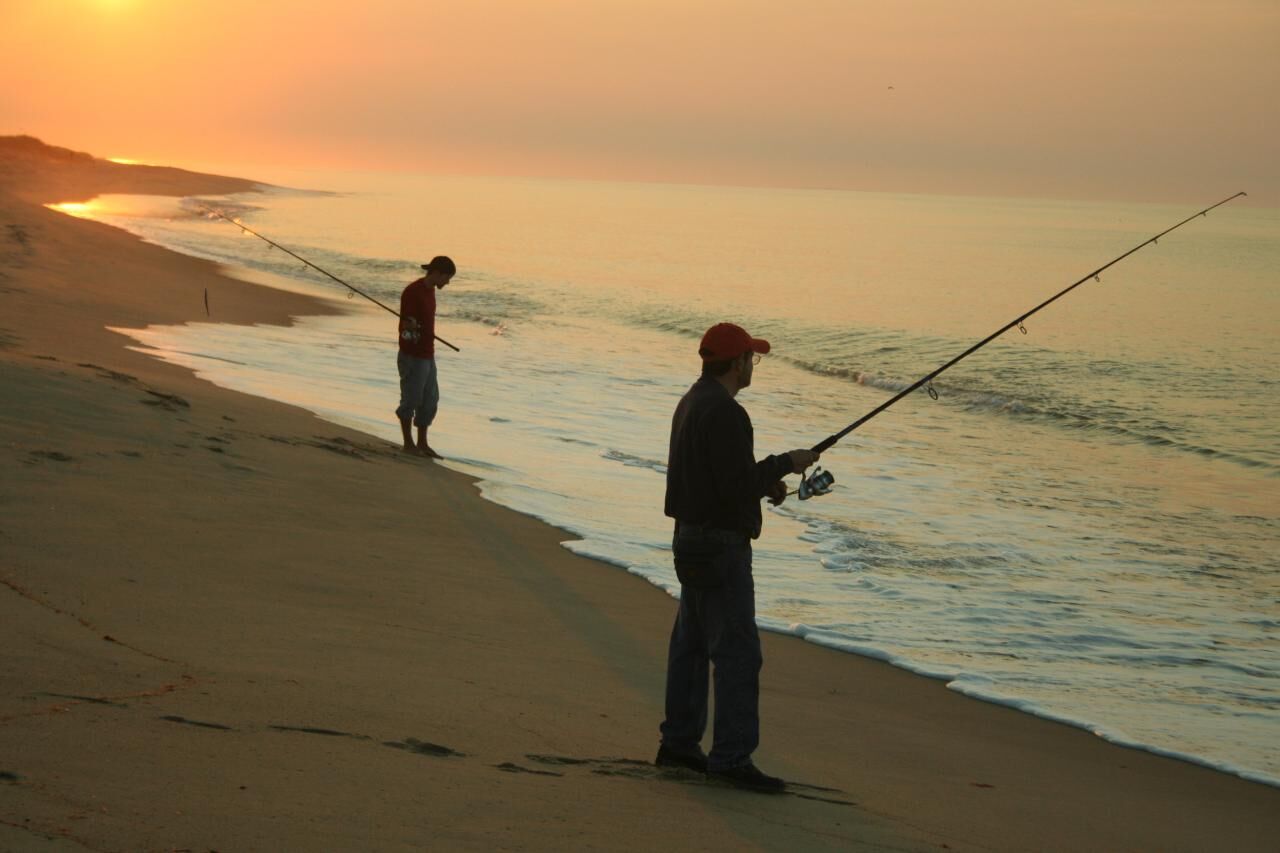 Academy Sports: Your One-Stop Shop for Fishing Licenses - Fishing ...