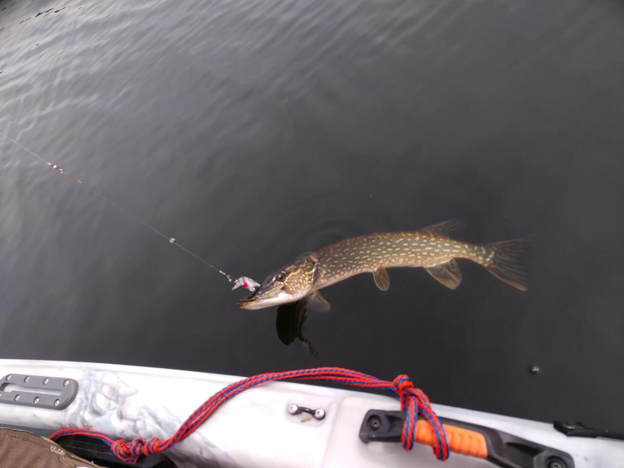 The Complete Guide to Fishing Licenses and Regulations in Massachusetts ...