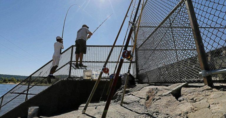 Fishing Licence USA - The Ultimate Guide to Fishing Licenses in the USA